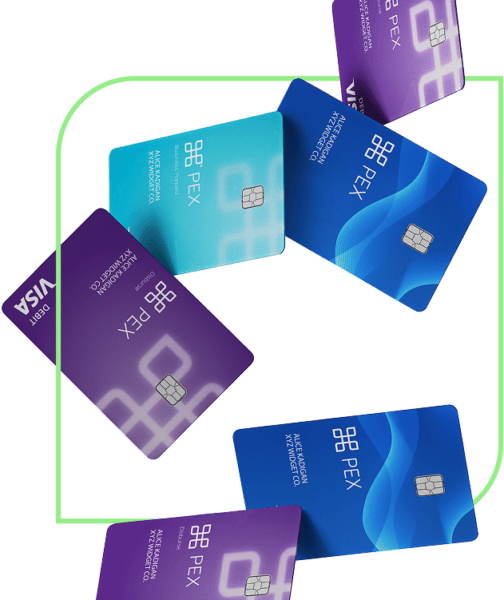 Payment Solutions - PEX